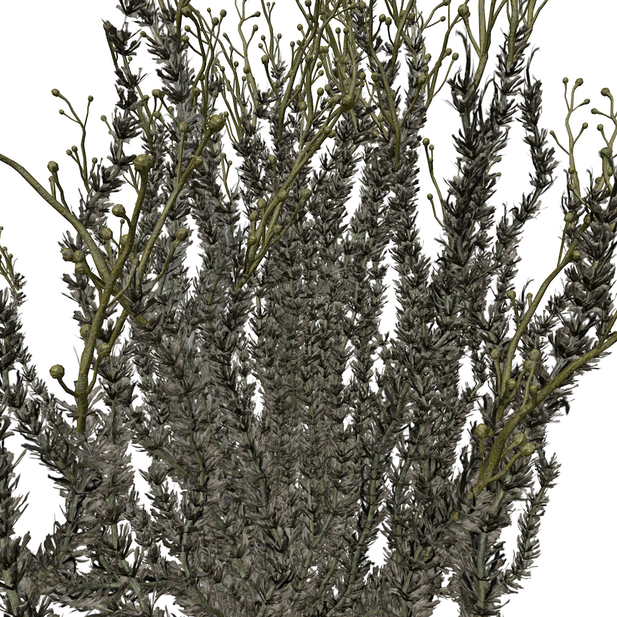 ArtStation - Sagebrush Bush #05 - High Poly Bush (3D Model) | Game Assets