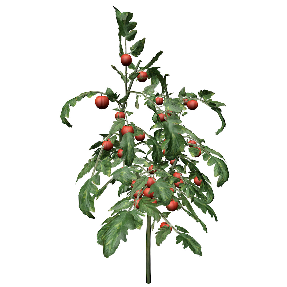 ArtStation - Tomato Plant #09 - High Poly Plant (3D Model) | Game Assets