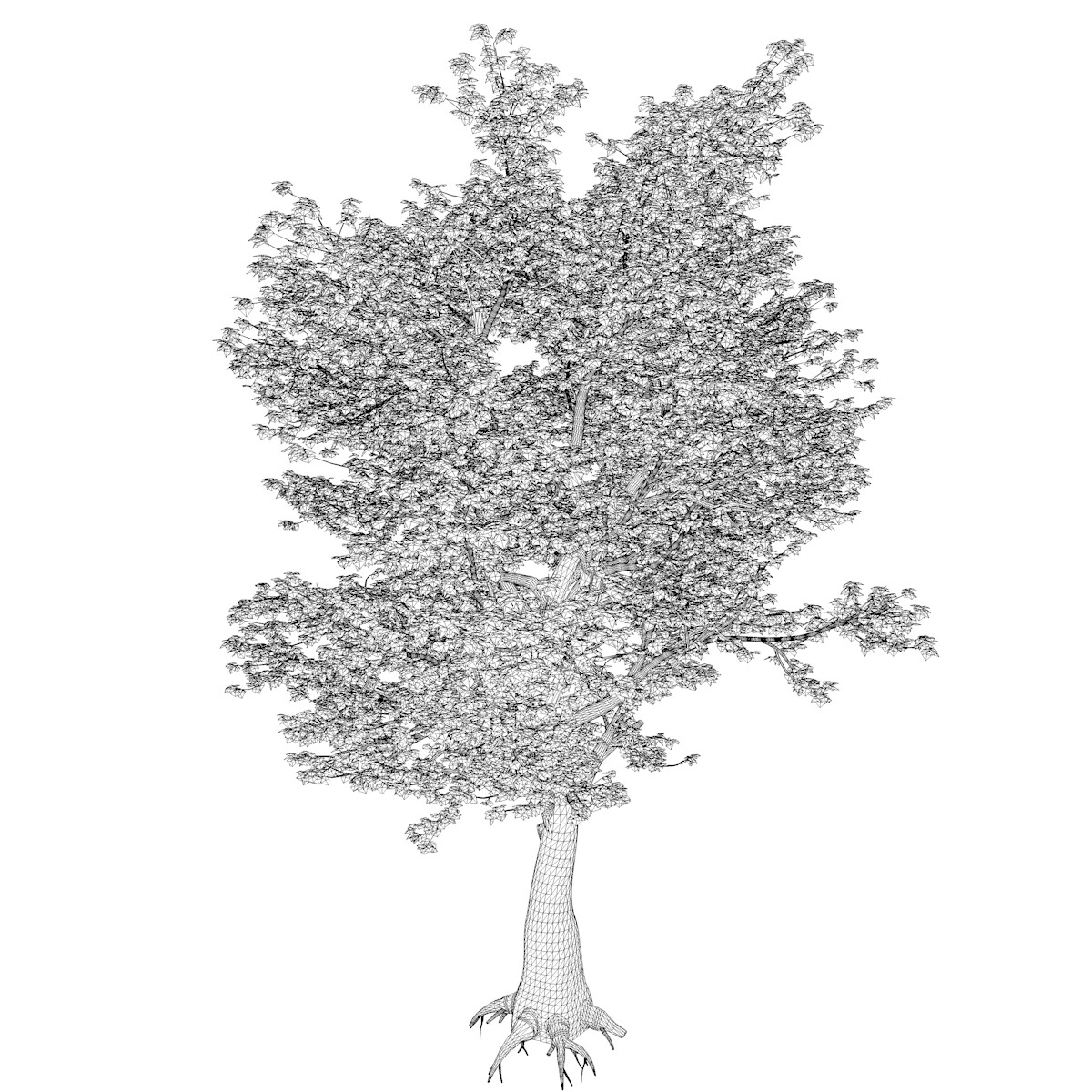 ArtStation - American Sycamore Tree #01 - High Poly Tree (3D Model ...