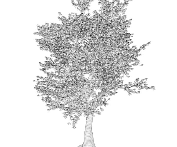 ArtStation - American Sycamore Tree #03 - High Poly Tree (3D Model ...