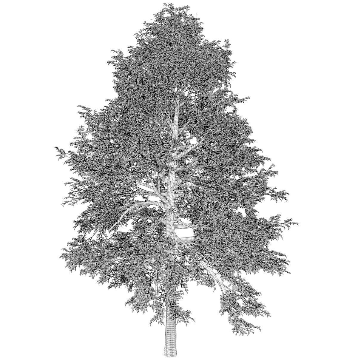 ArtStation - Black Gum Tree #01 - High Poly Tree (3D Model) | Game Assets