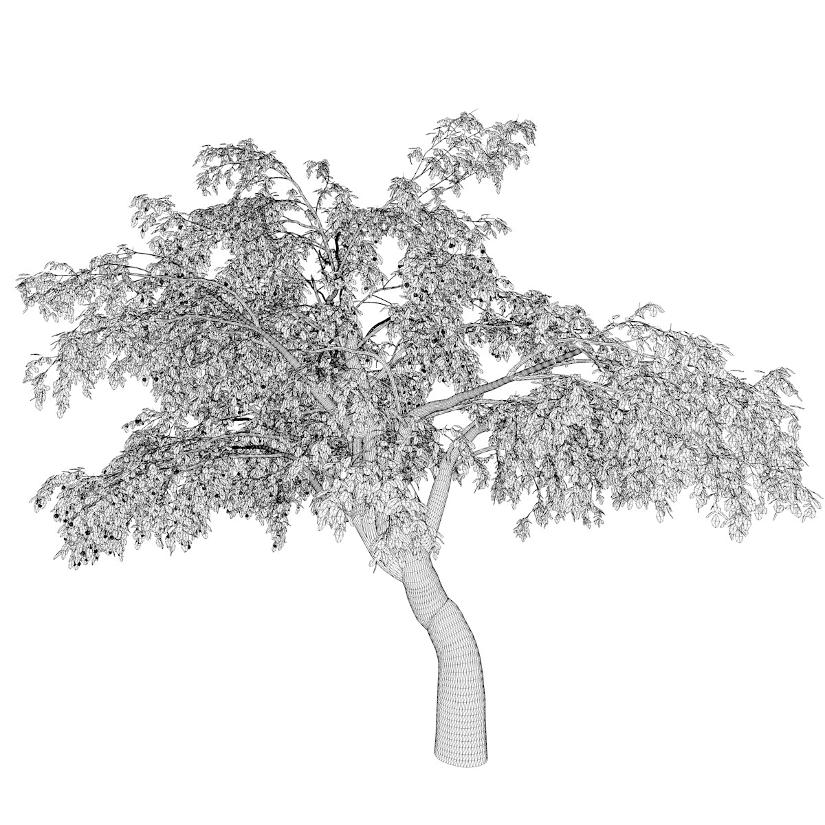 ArtStation - Cherry Tree #02 - High Poly Tree (3D Model) | Game Assets