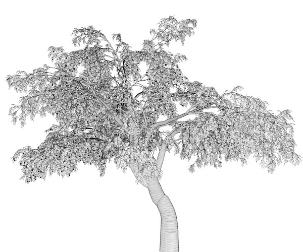 ArtStation - Cherry Tree #02 - High Poly Tree (3D Model) | Game Assets