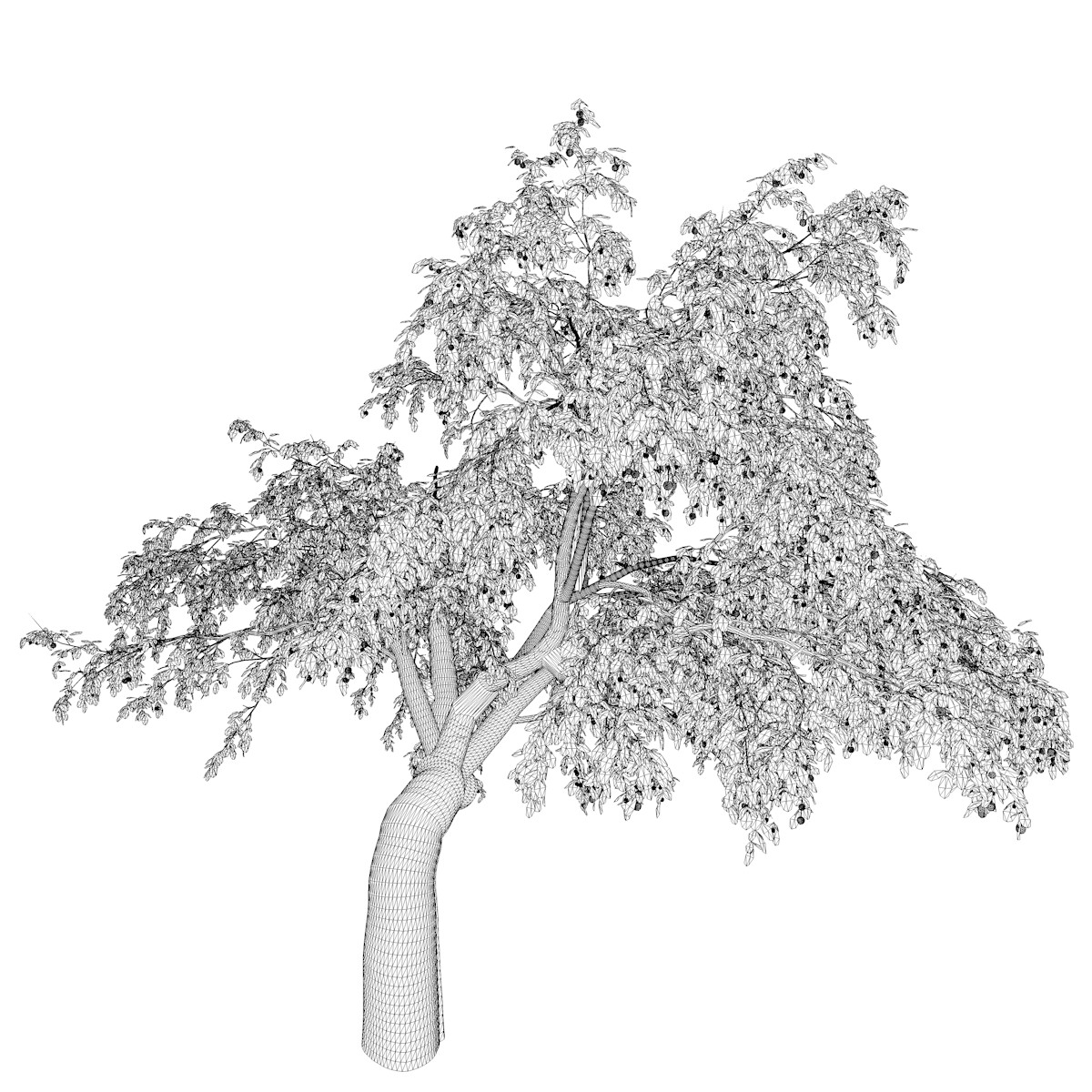 ArtStation - Cherry Tree #06 - High Poly Tree (3D Model) | Game Assets