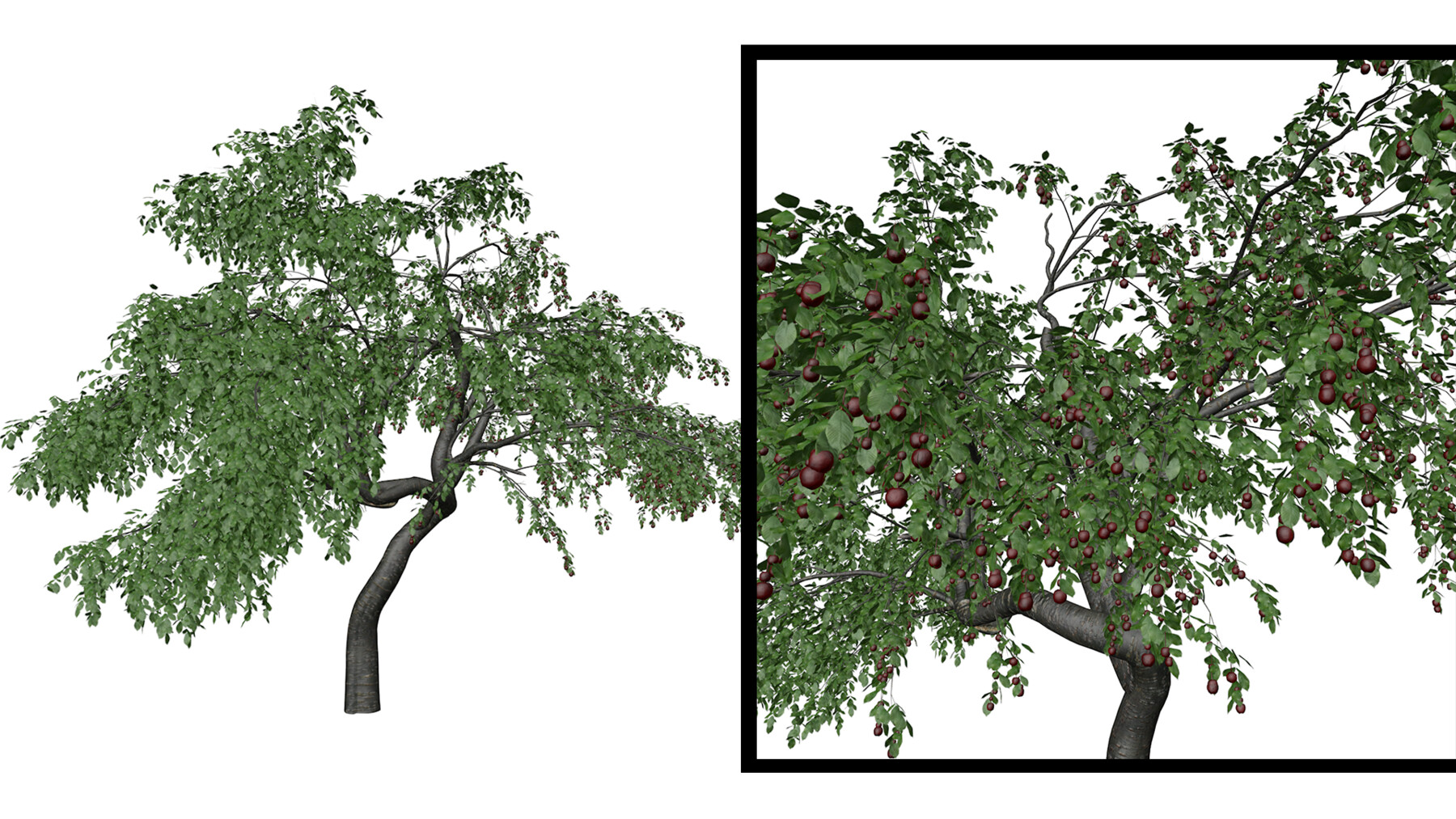 ArtStation - Cherry Tree #07 - High Poly Tree (3D Model) | Game Assets