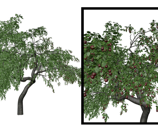 ArtStation - Cherry Tree #07 - High Poly Tree (3D Model) | Game Assets