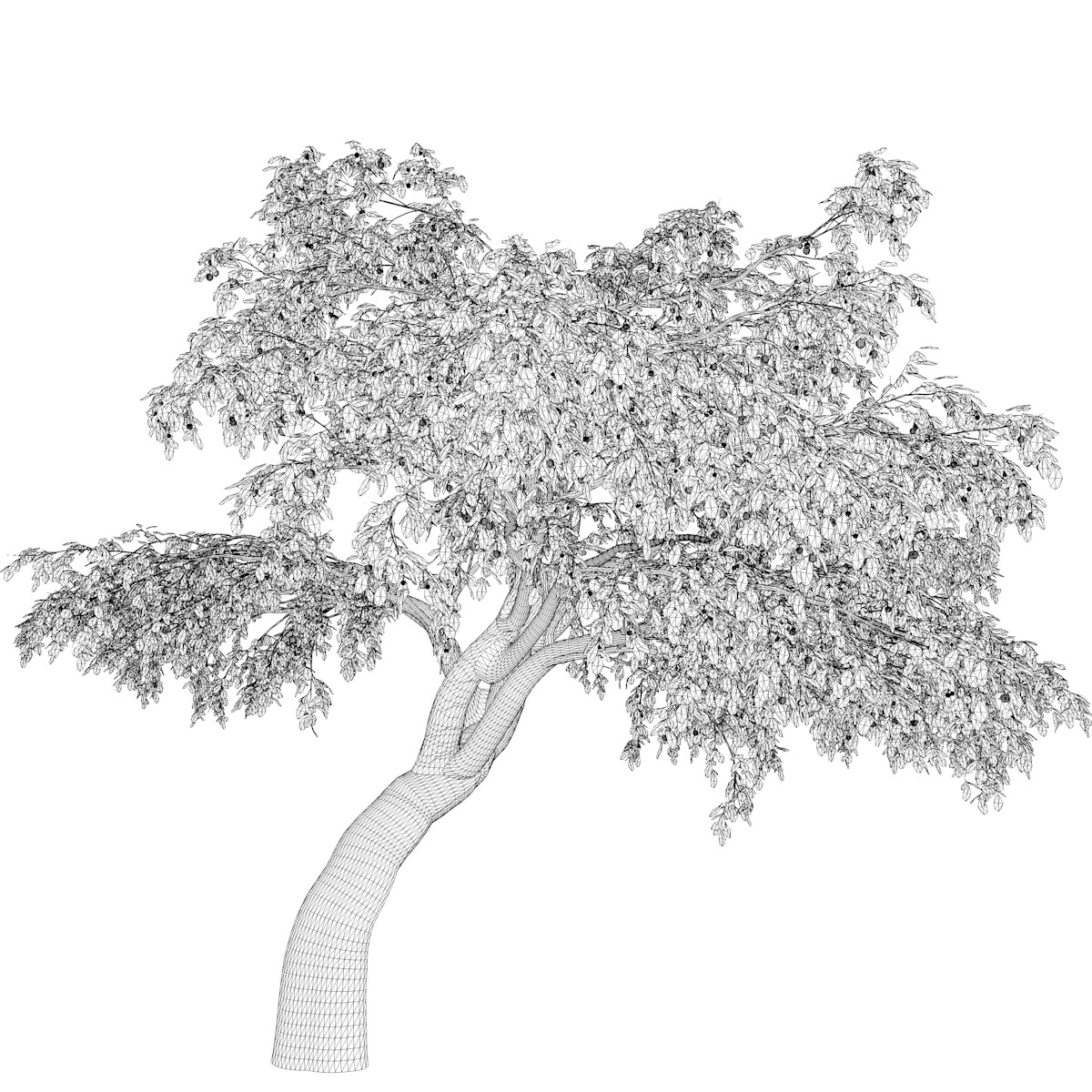 ArtStation - Cherry Tree #08 - High Poly Tree (3D Model) | Game Assets