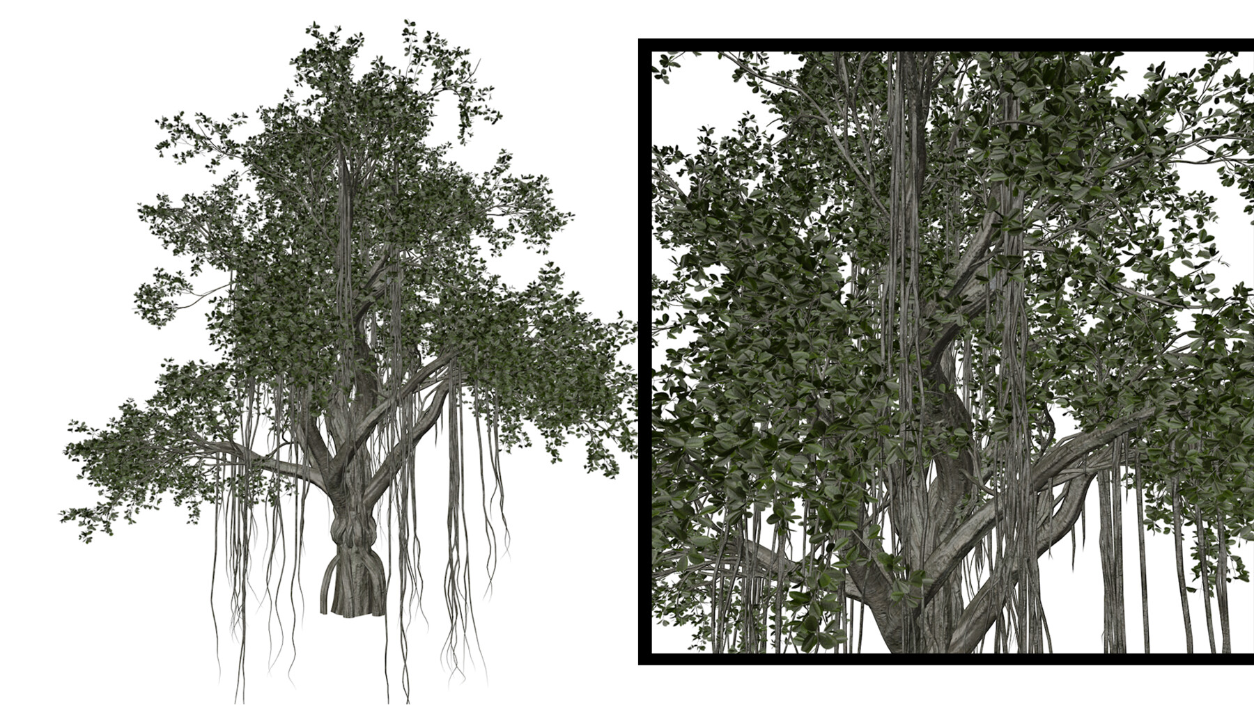 ArtStation - Chinese Banyan Tree #01 - High Poly Tree (3D Model) | Game Assets