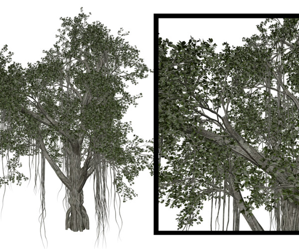 ArtStation - Chinese Banyan Tree #05 - High Poly Tree (3D Model) | Game ...