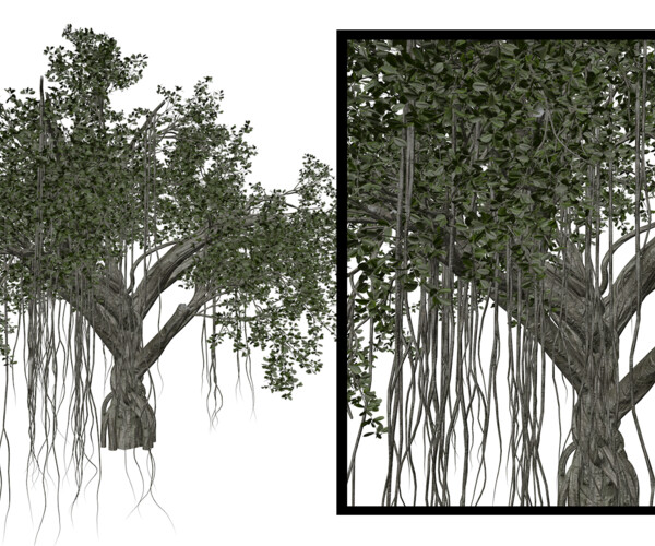 ArtStation - Chinese Banyan Tree #06 - High Poly Tree (3D Model) | Game ...