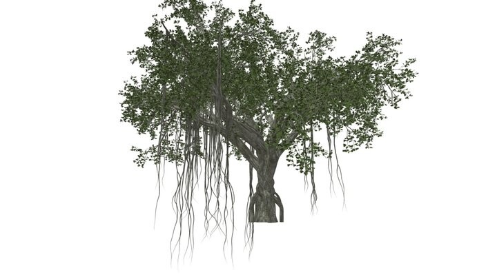 ArtStation - Chinese Banyan Tree #06 - High Poly Tree (3D Model) | Game ...