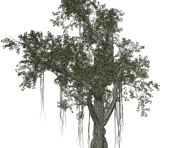 ArtStation - Chinese Banyan Tree #07 - High Poly Tree (3D Model) | Game ...