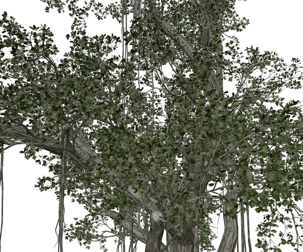 ArtStation - Chinese Banyan Tree #07 - High Poly Tree (3D Model) | Game ...