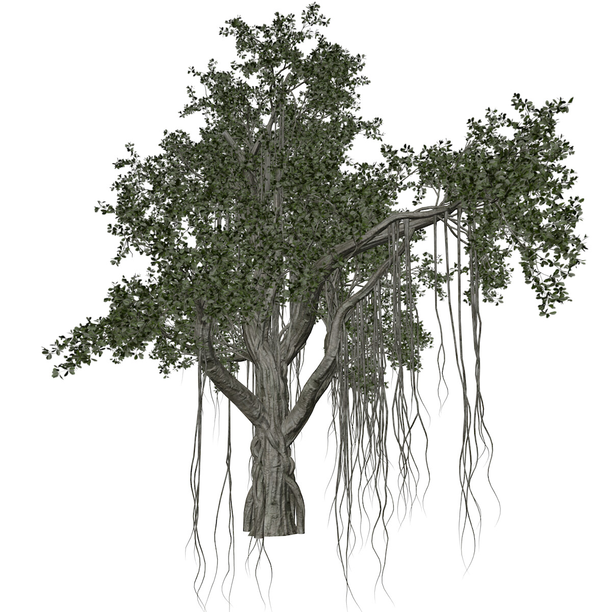 ArtStation - Chinese Banyan Tree #08 - High Poly Tree (3D Model) | Game ...