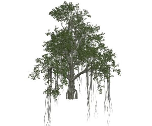 ArtStation - Chinese Banyan Tree #09 - High Poly Tree (3D Model) | Game ...