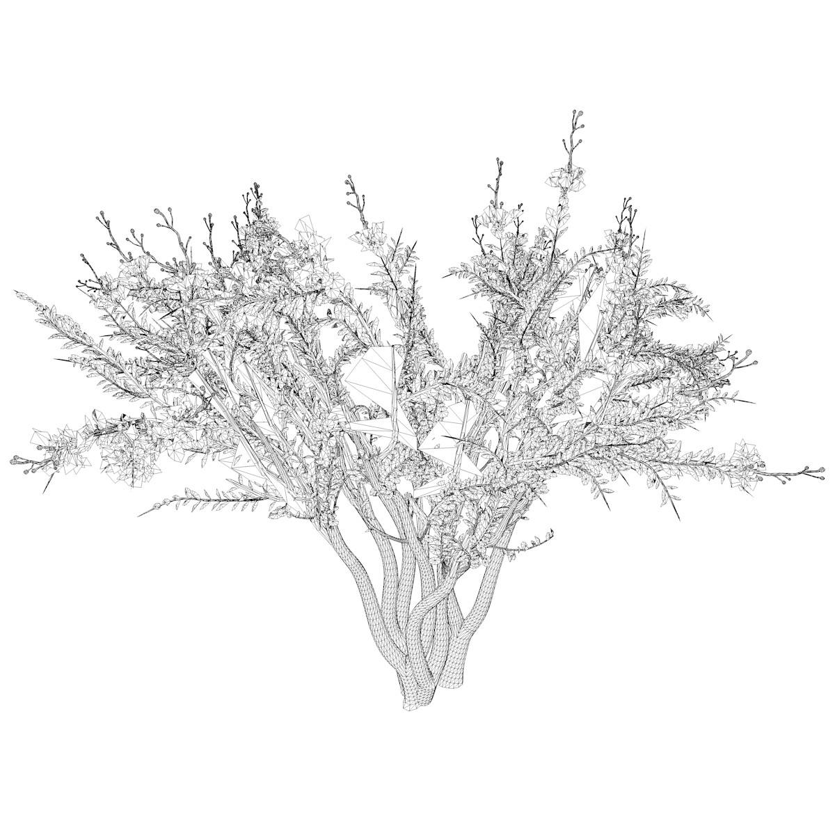 ArtStation - Crape Myrtle Tree #05 - High Poly Tree (3D Model) | Game ...