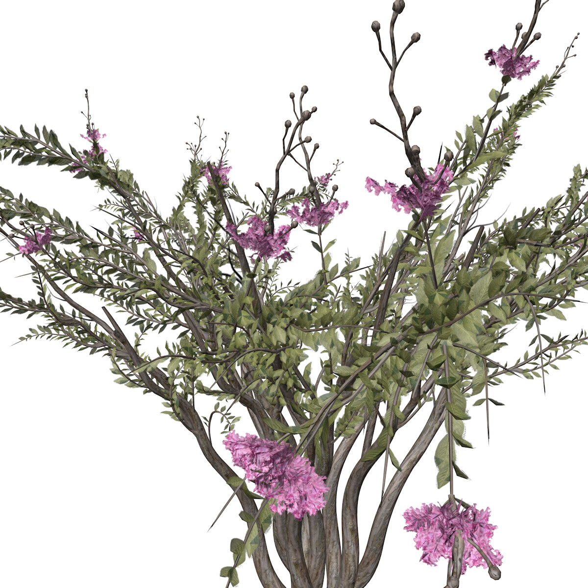 ArtStation - Crape Myrtle Tree #09 - High Poly Tree (3D Model) | Game ...
