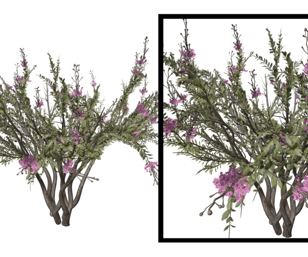 ArtStation - Crape Myrtle Tree #10 - High Poly Tree (3D Model) | Game ...