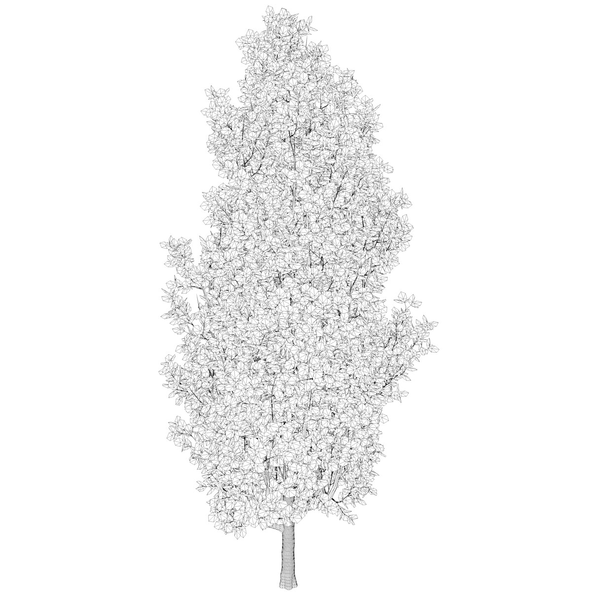 ArtStation - Cypress Oak Tree #01 - High Poly Tree (3D Model) | Game Assets