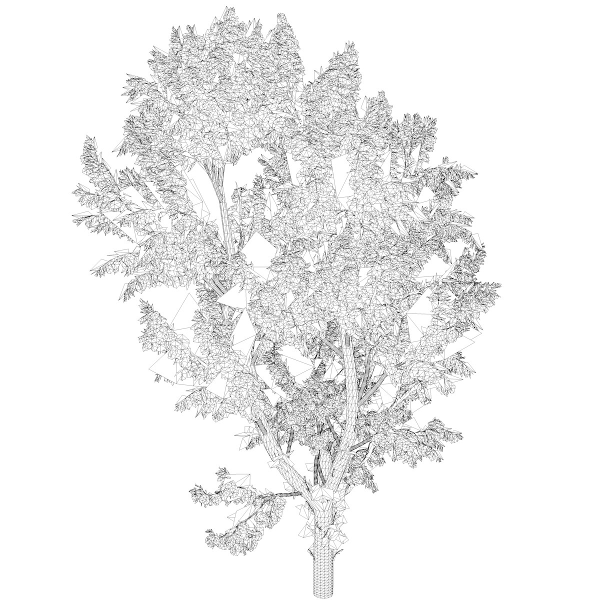 ArtStation - European White Birch Tree #10 - High Poly Tree (3D Model ...