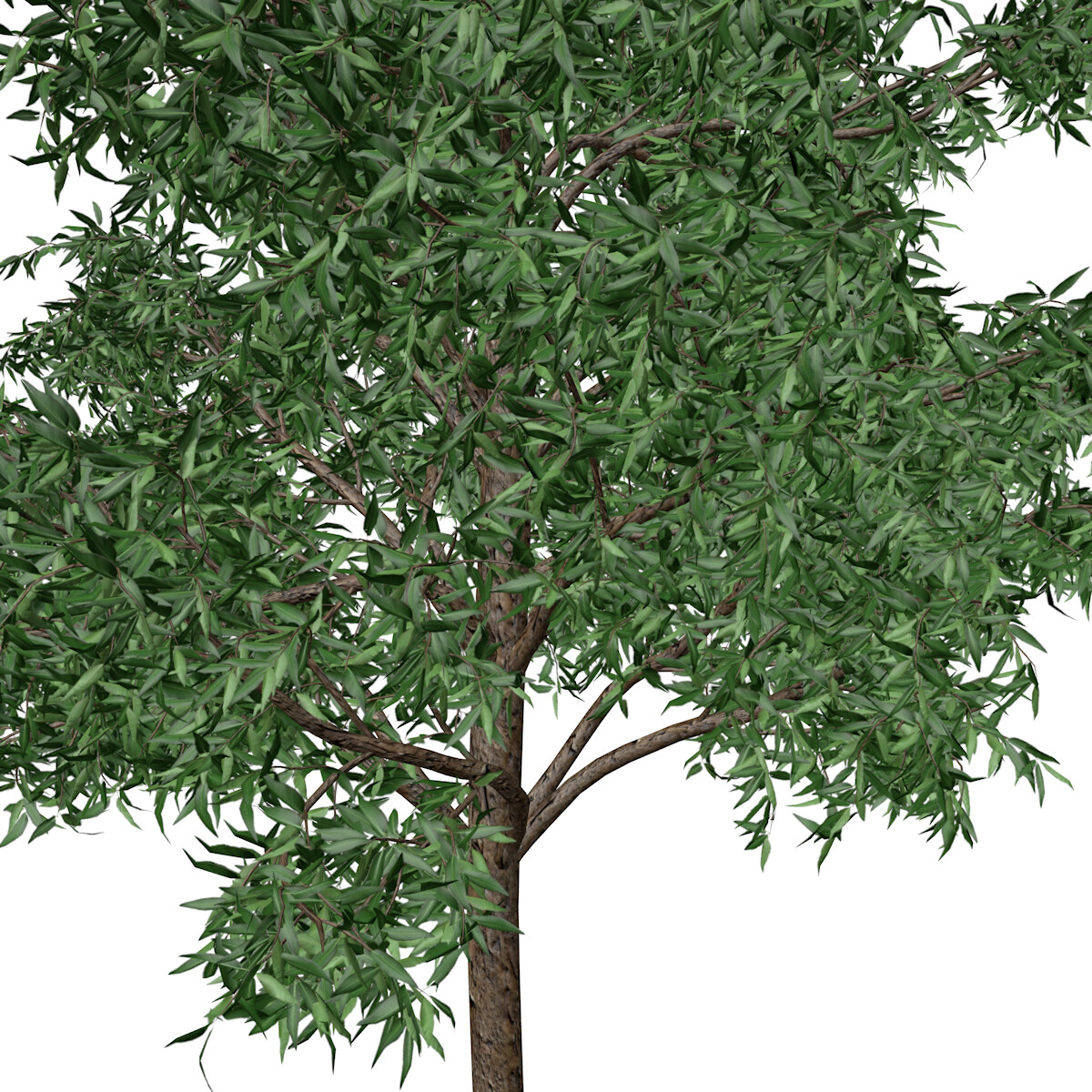 ArtStation - Flooded Gum Tree #02 - High Poly Tree (3D Model) | Game Assets