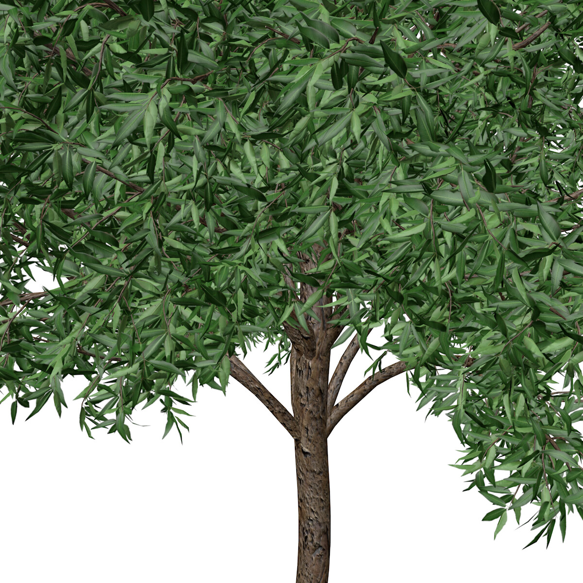 ArtStation - Flooded Gum Tree #06 - High Poly Tree (3D Model) | Game Assets