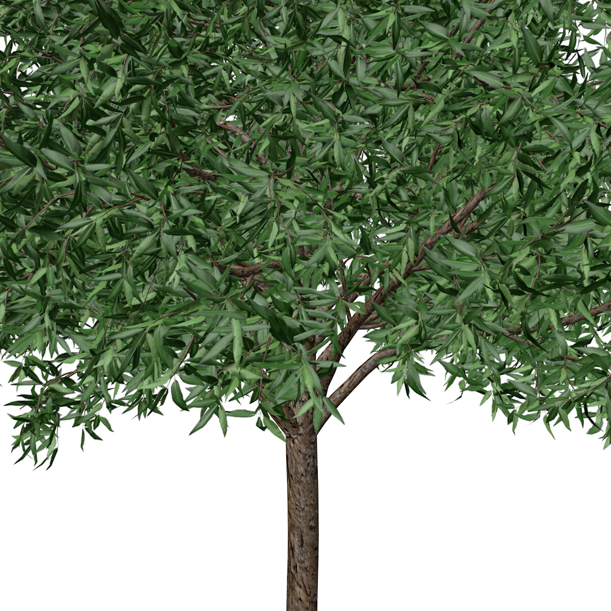 ArtStation - Flooded Gum Tree #10 - High Poly Tree (3D Model) | Game Assets