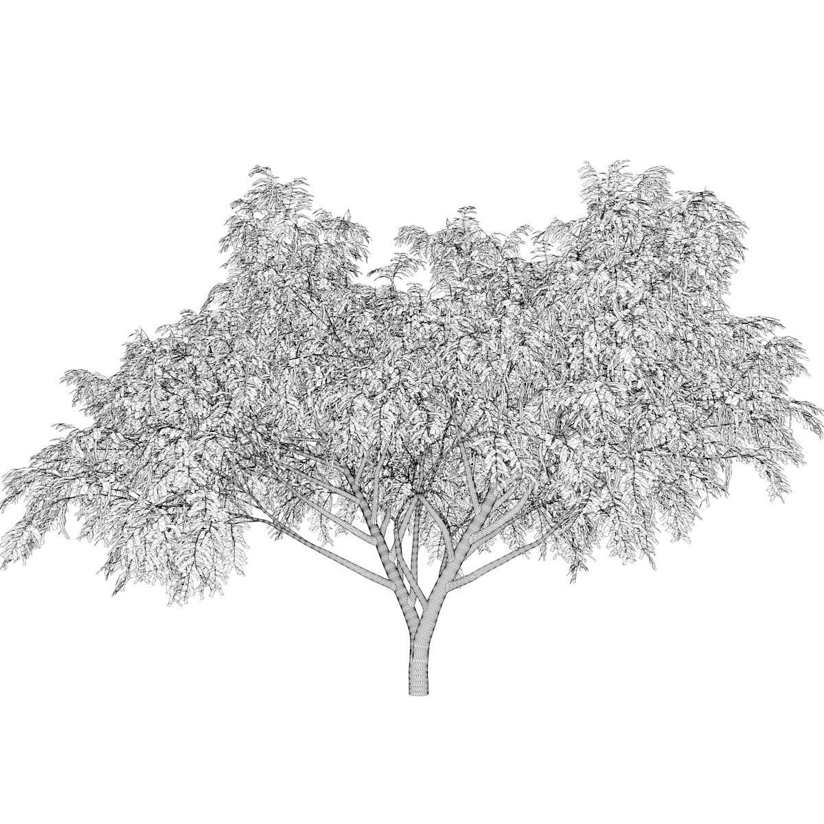 ArtStation - Honey Mesquite Tree #03 - High Poly Tree (3D Model) | Game ...