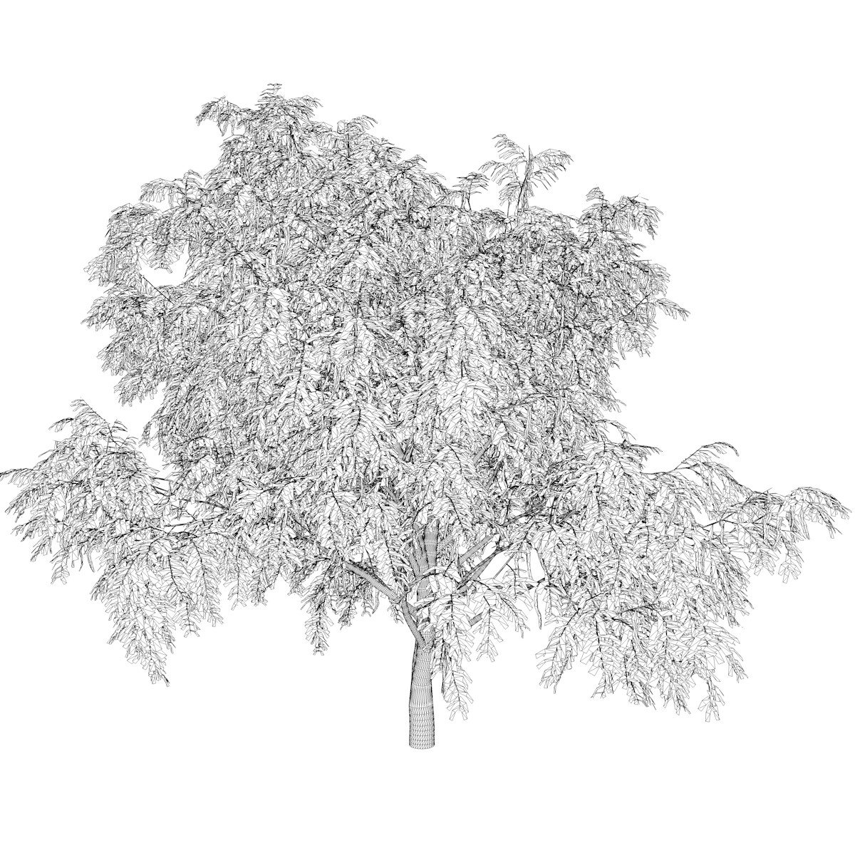 ArtStation - Honey Mesquite Tree #04 - High Poly Tree (3D Model) | Game ...