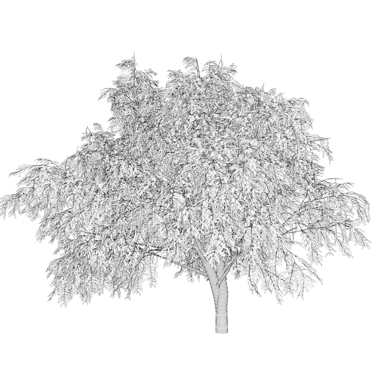 ArtStation - Honey Mesquite Tree #06 - High Poly Tree (3D Model) | Game ...