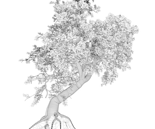 ArtStation - Japanese Maple Tree #05 - High Poly Tree (3D Model) | Game ...