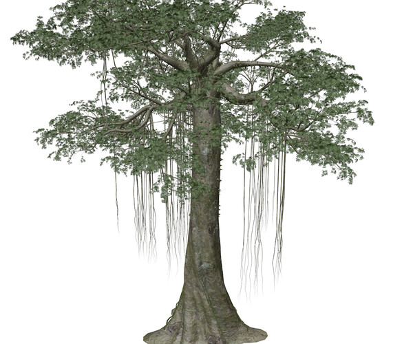 ArtStation - Kapok Tree #08 - High Poly Tree (3D Model) | Game Assets