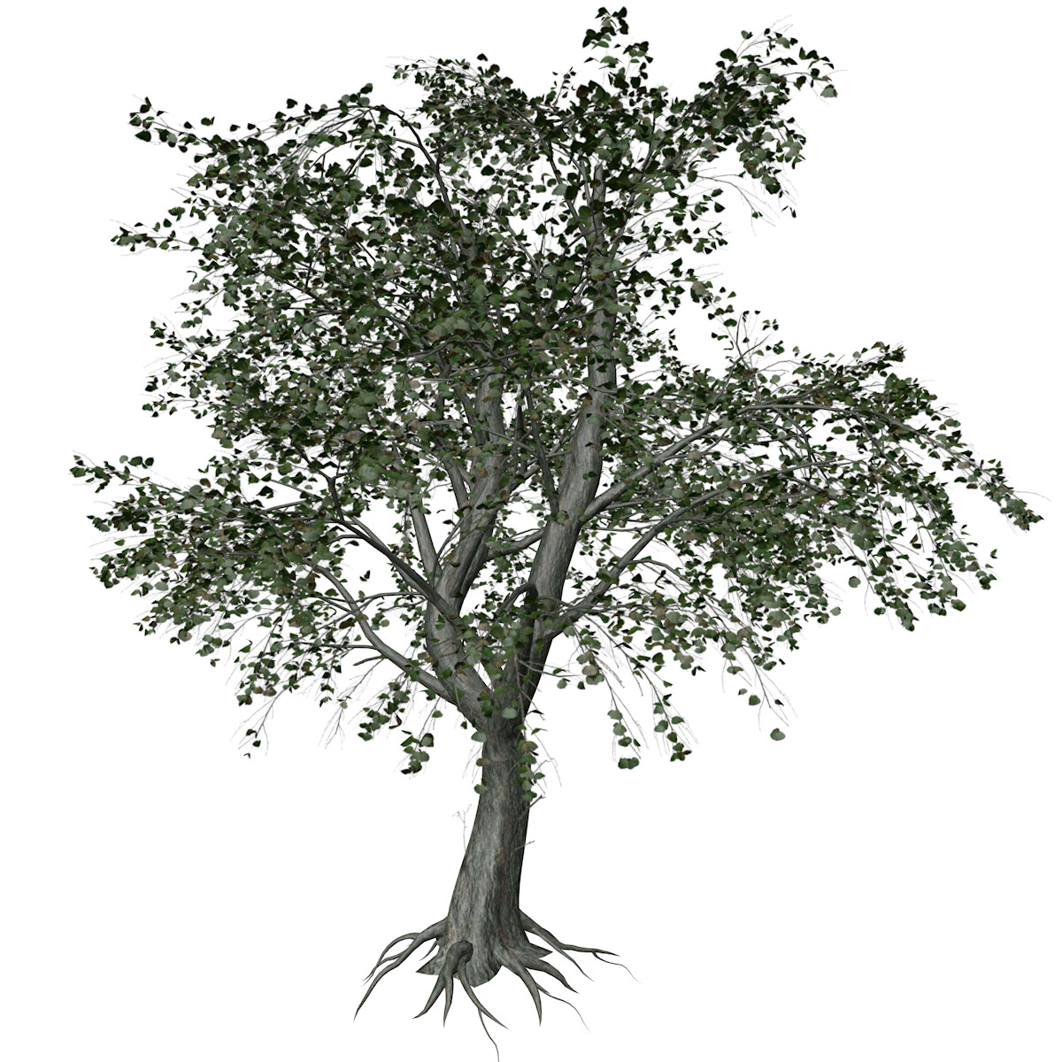 ArtStation - Katsura Tree #01 - High Poly Tree (3D Model) | Game Assets
