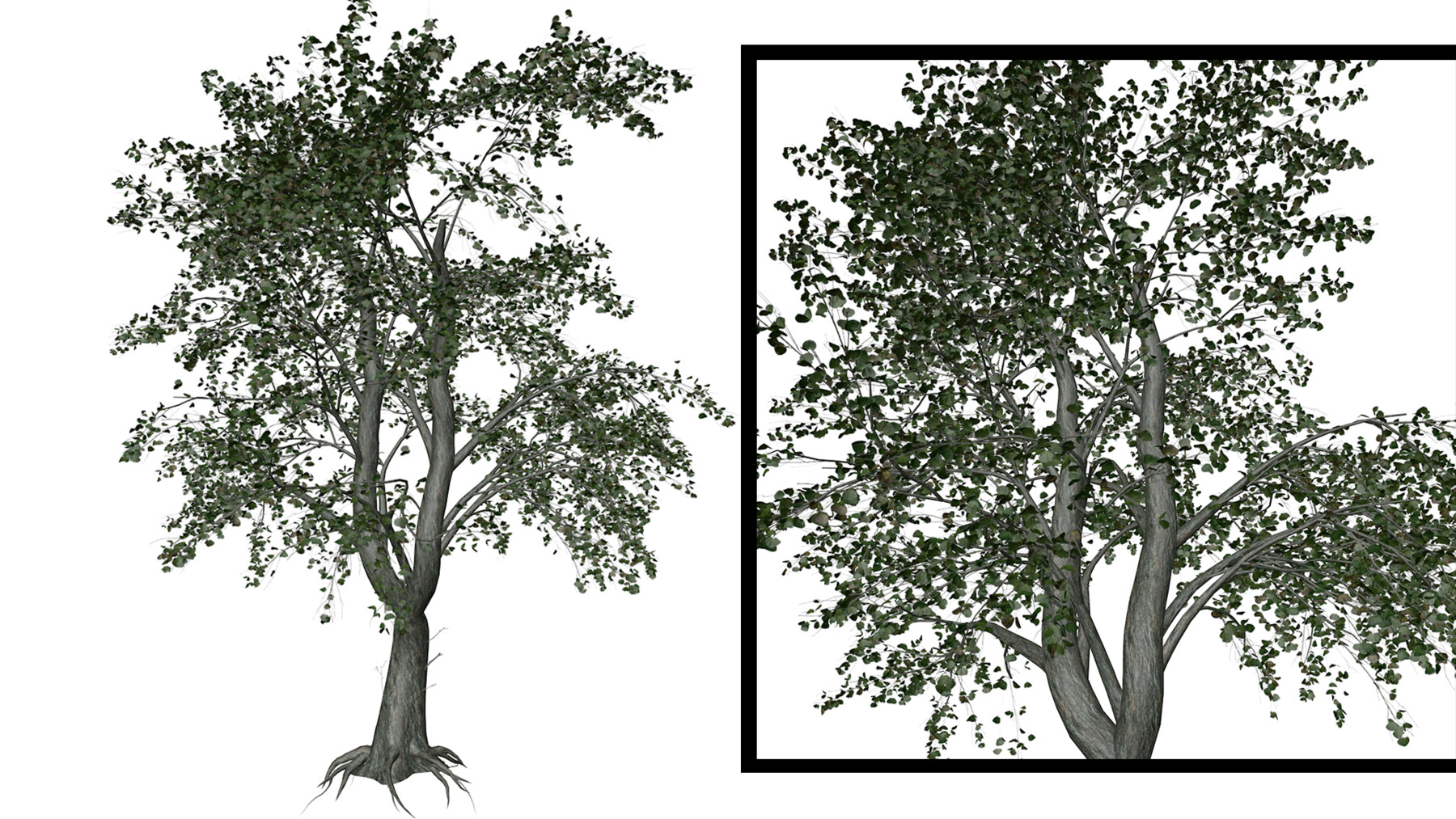 ArtStation - Katsura Tree #02 - High Poly Tree (3D Model) | Game Assets