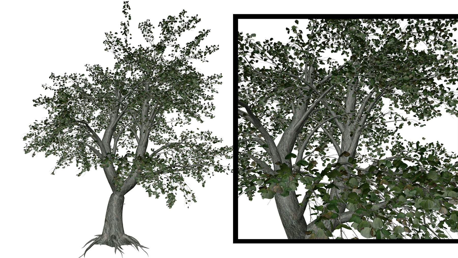 ArtStation - Katsura Tree #08 - High Poly Tree (3D Model) | Game Assets