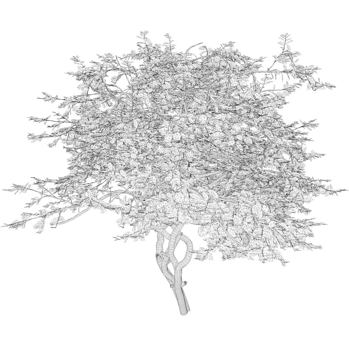 ArtStation - Lemon Tree #05 - High Poly Tree (3D Model) | Game Assets