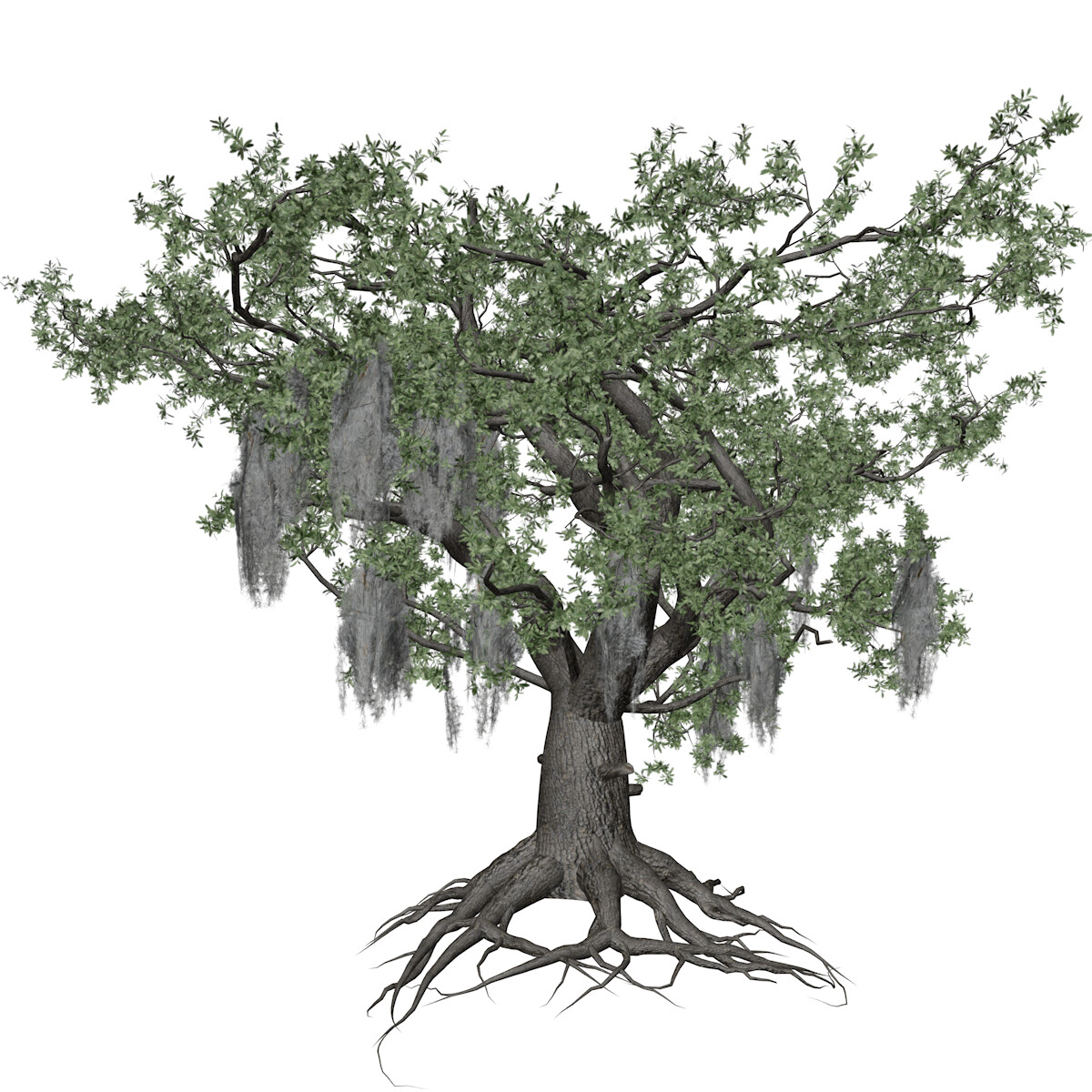 ArtStation - Live Oak Tree #03 - High Poly Tree (3D Model) | Game Assets