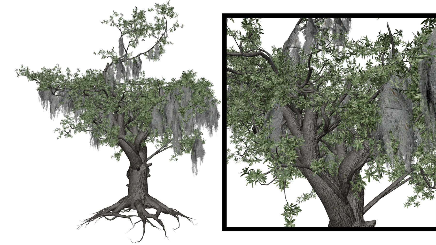 ArtStation - Live Oak Tree #09 - High Poly Tree (3D Model) | Game Assets