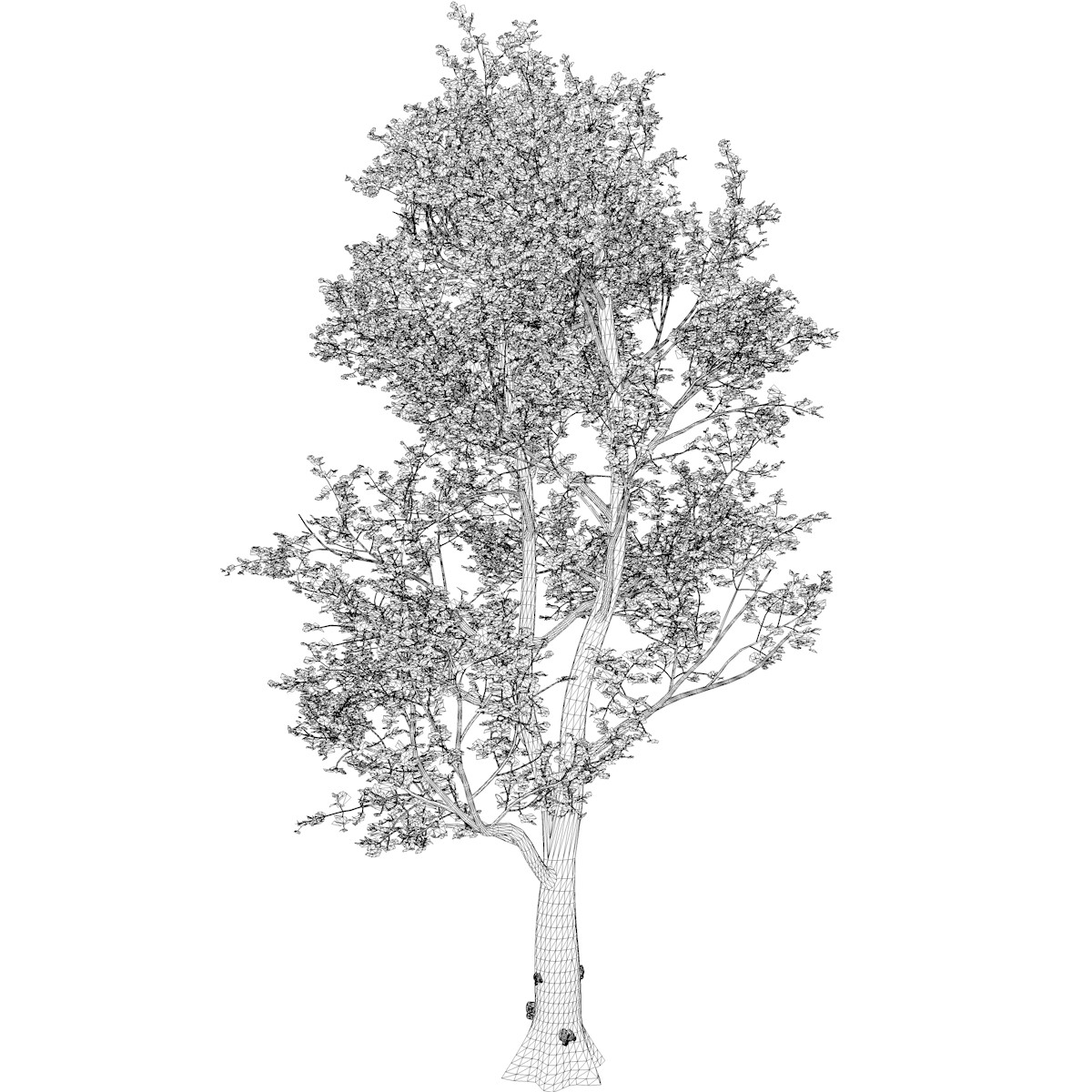 ArtStation - London Plane Tree #02 - High Poly Tree (3D Model) | Game ...