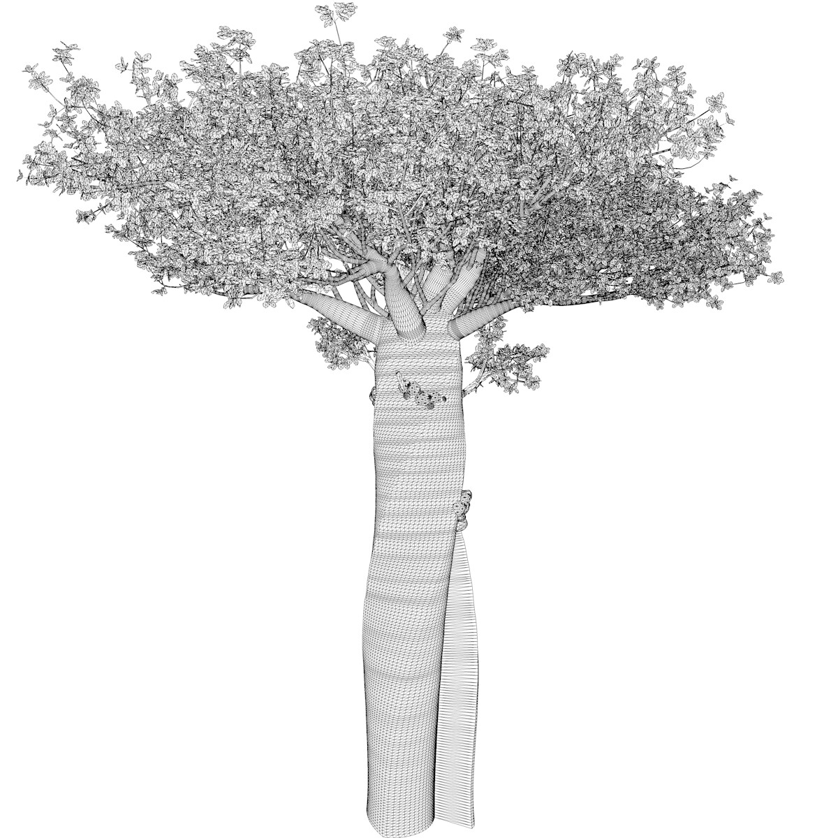 ArtStation - Madagascan Baobab Tree #10 - High Poly Tree (3D Model ...