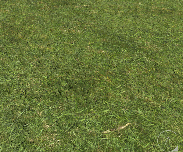 ArtStation - Grass texture pack vol2 Texture | Game Assets