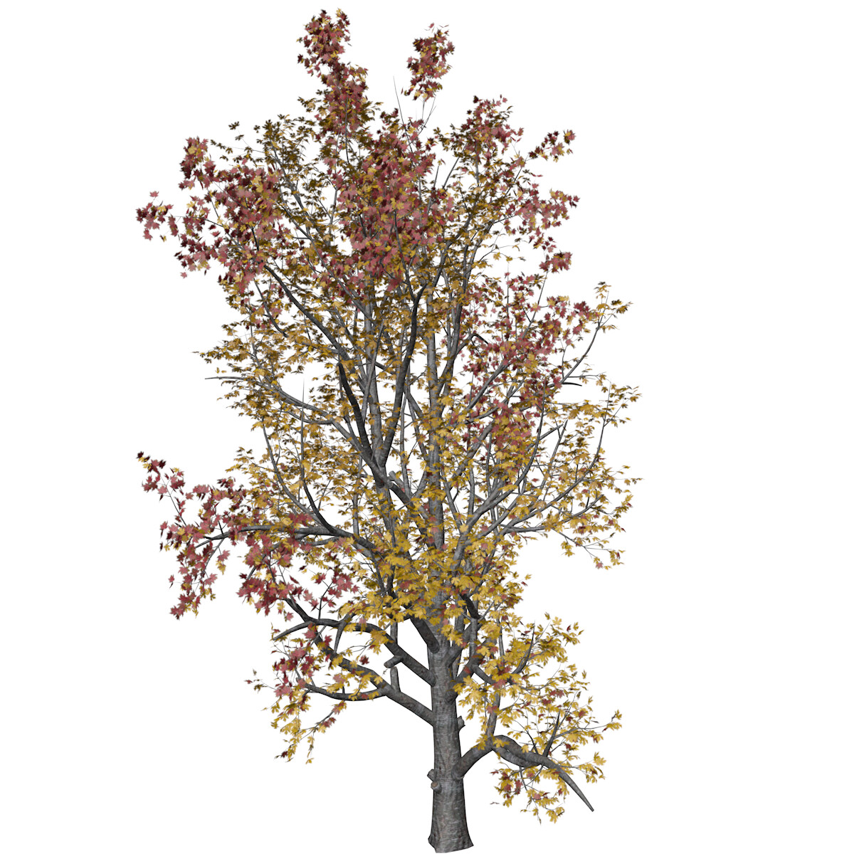ArtStation - Mountain Maple Tree (in Fall) #02 - High Poly Tree (3D Model) | Game Assets