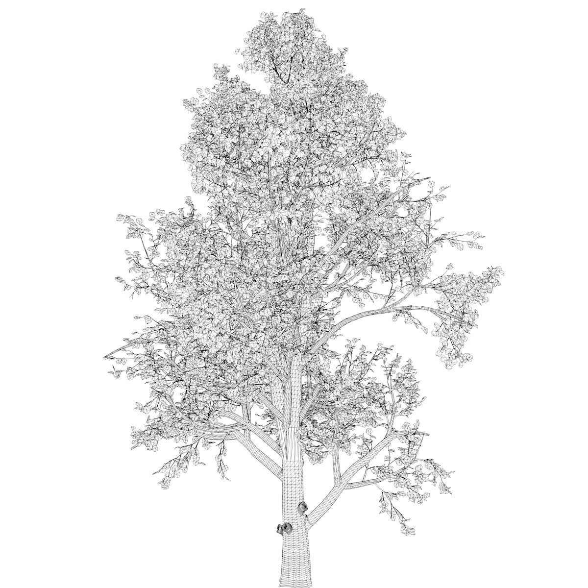 ArtStation - Mountain Maple Tree (in Fall) #03 - High Poly Tree (3D ...