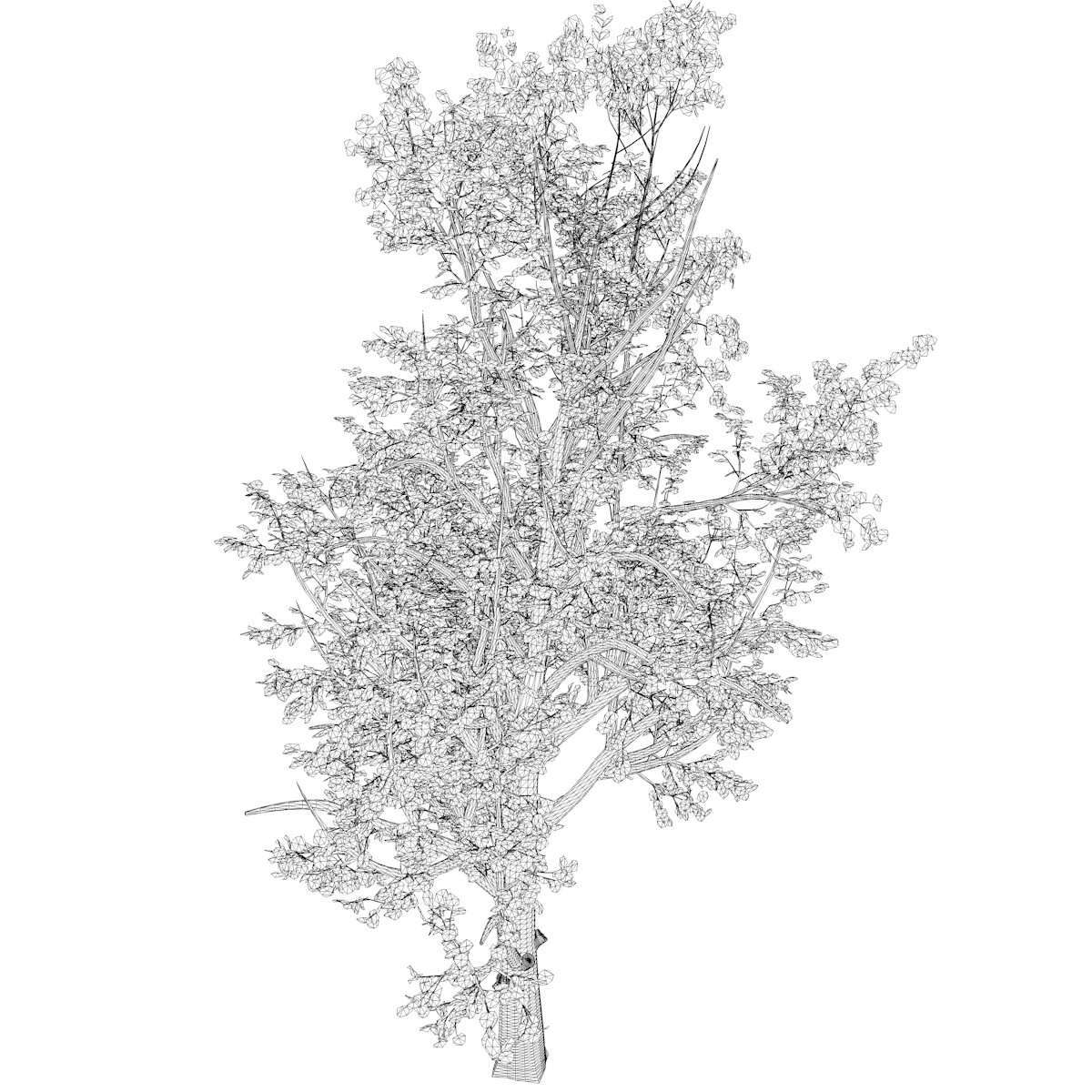 ArtStation - Mountain Maple Tree (in Fall) #05 - High Poly Tree (3D ...