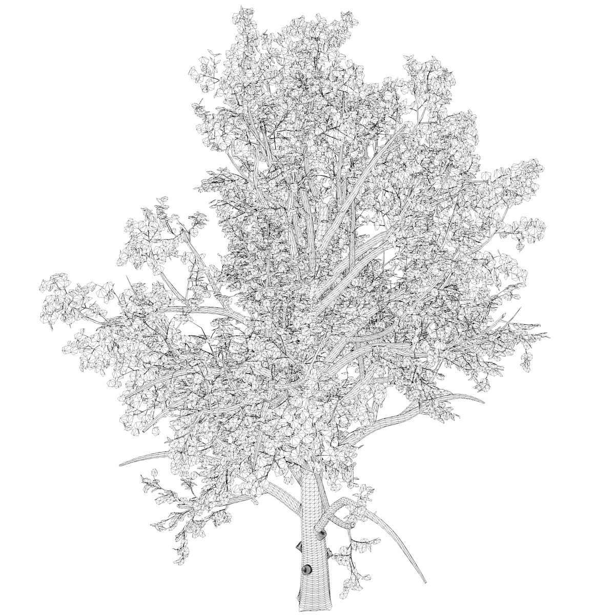ArtStation - Mountain Maple Tree (in Fall) #08 - High Poly Tree (3D ...