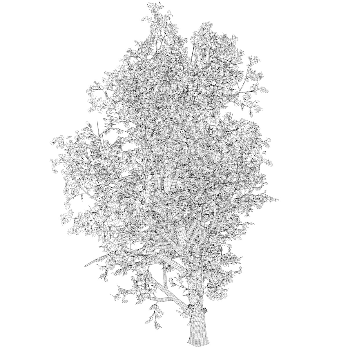 ArtStation - Mountain Maple Tree (in Fall) #10 - High Poly Tree (3D ...