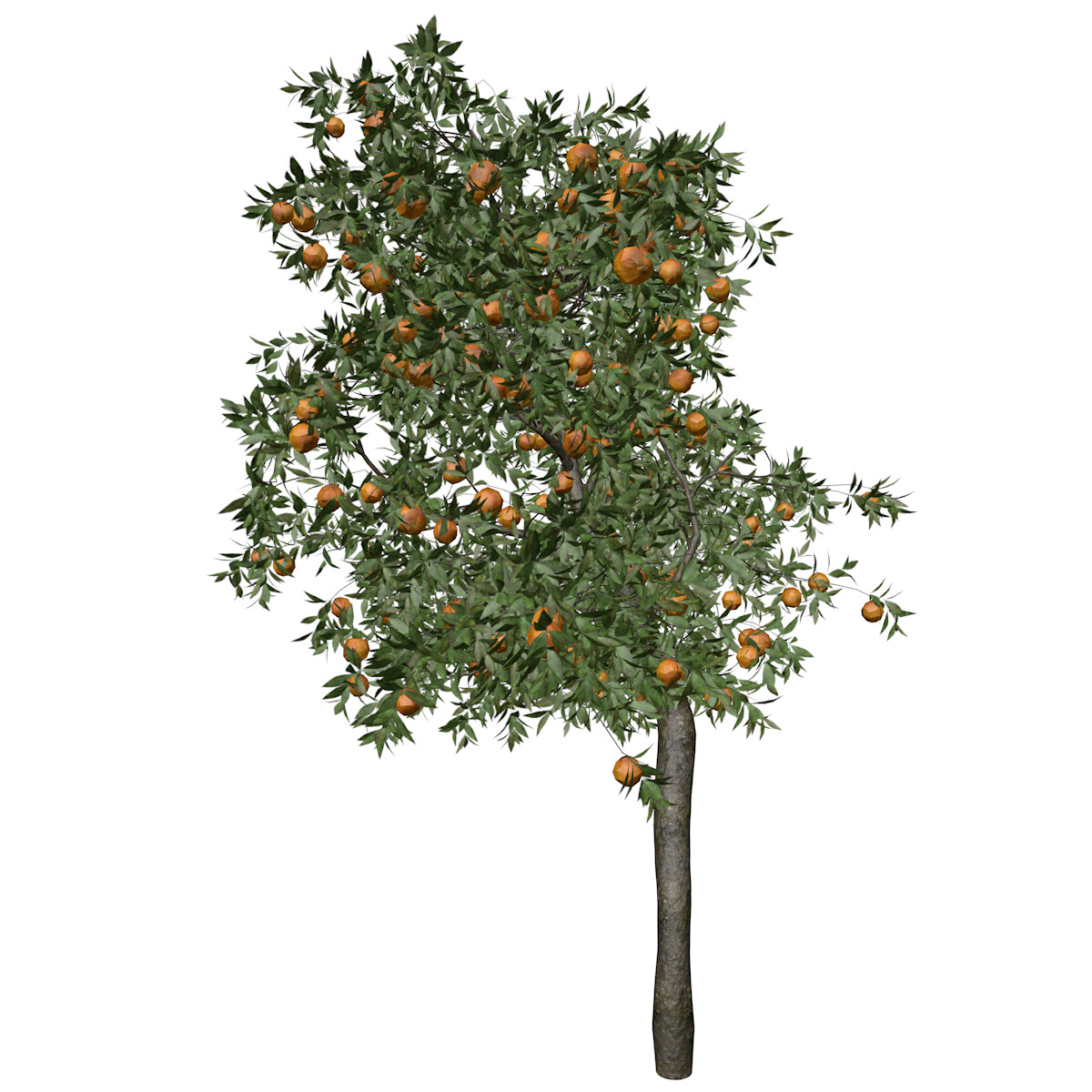 ArtStation - Orange Tree #01 - High Poly Tree (3D Model) | Game Assets