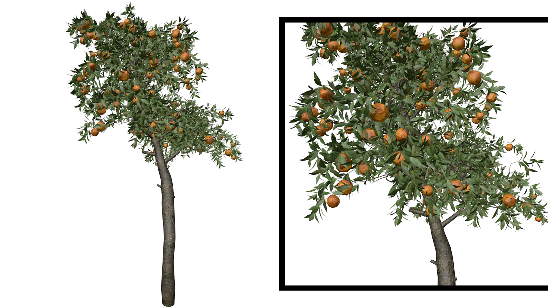 ArtStation - Orange Tree #02 - High Poly Tree (3D Model) | Game Assets