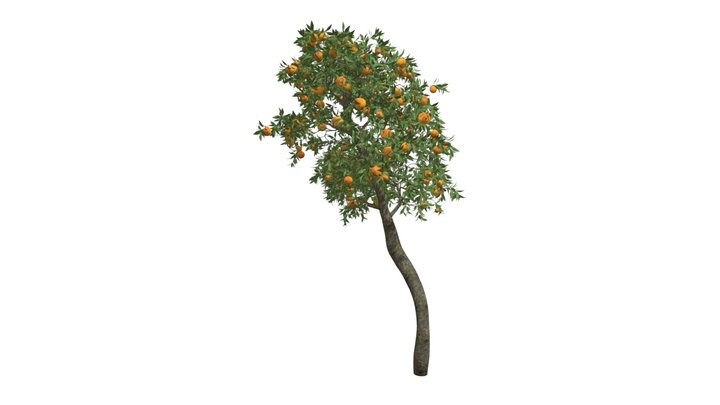 ArtStation - Orange Tree #02 - High Poly Tree (3D Model) | Game Assets