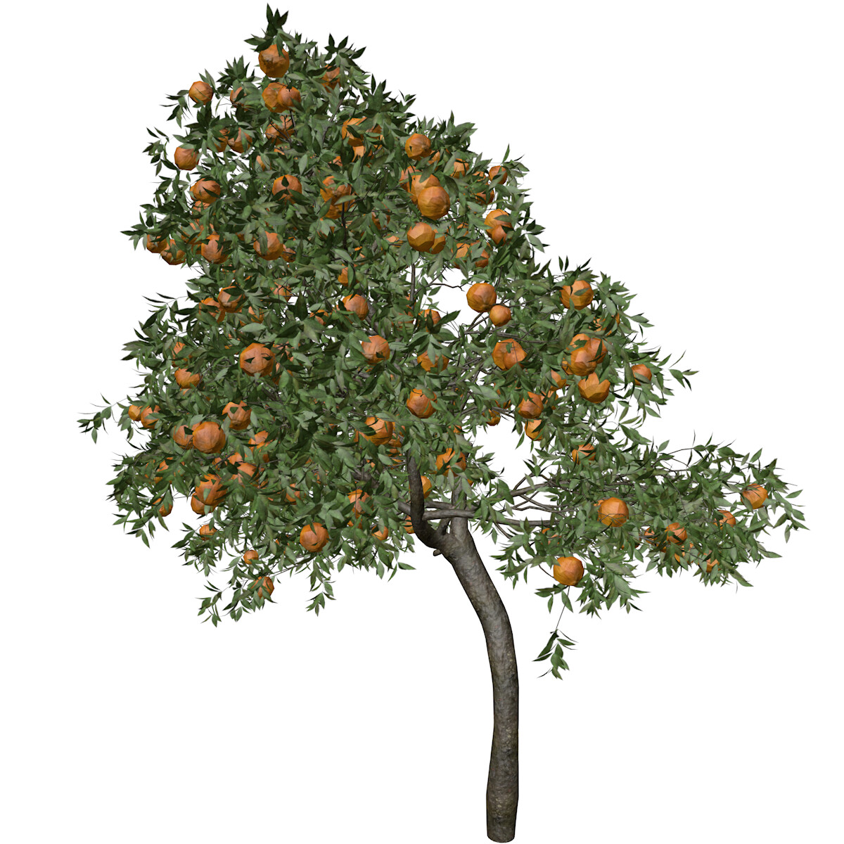 ArtStation - Orange Tree #03 - High Poly Tree (3D Model) | Game Assets